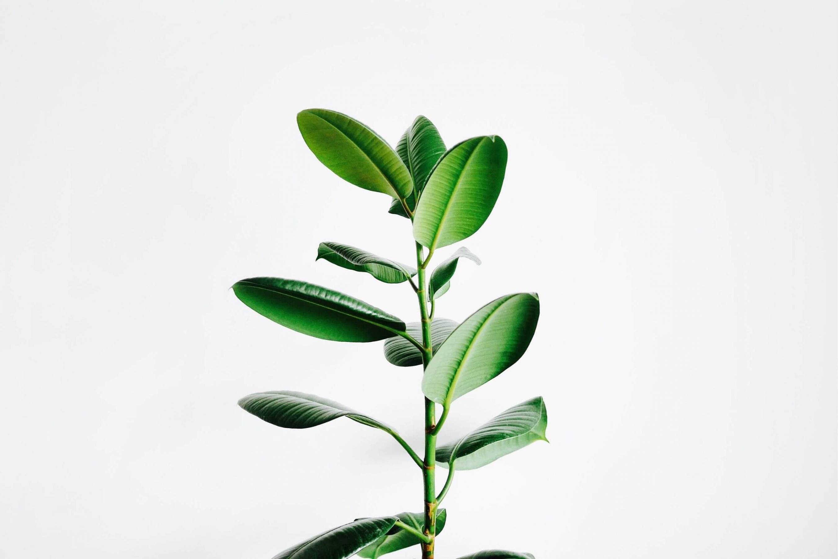 Introducing our Live Better Campaign [VIDEO] – Asquith